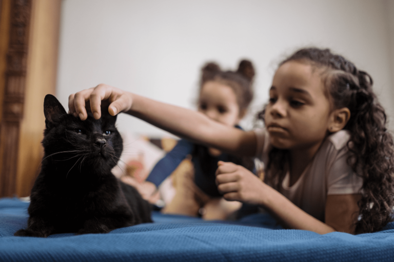 How To Train a Kitten Not To Bite (Get Kitten To Stop Biting NOW!)